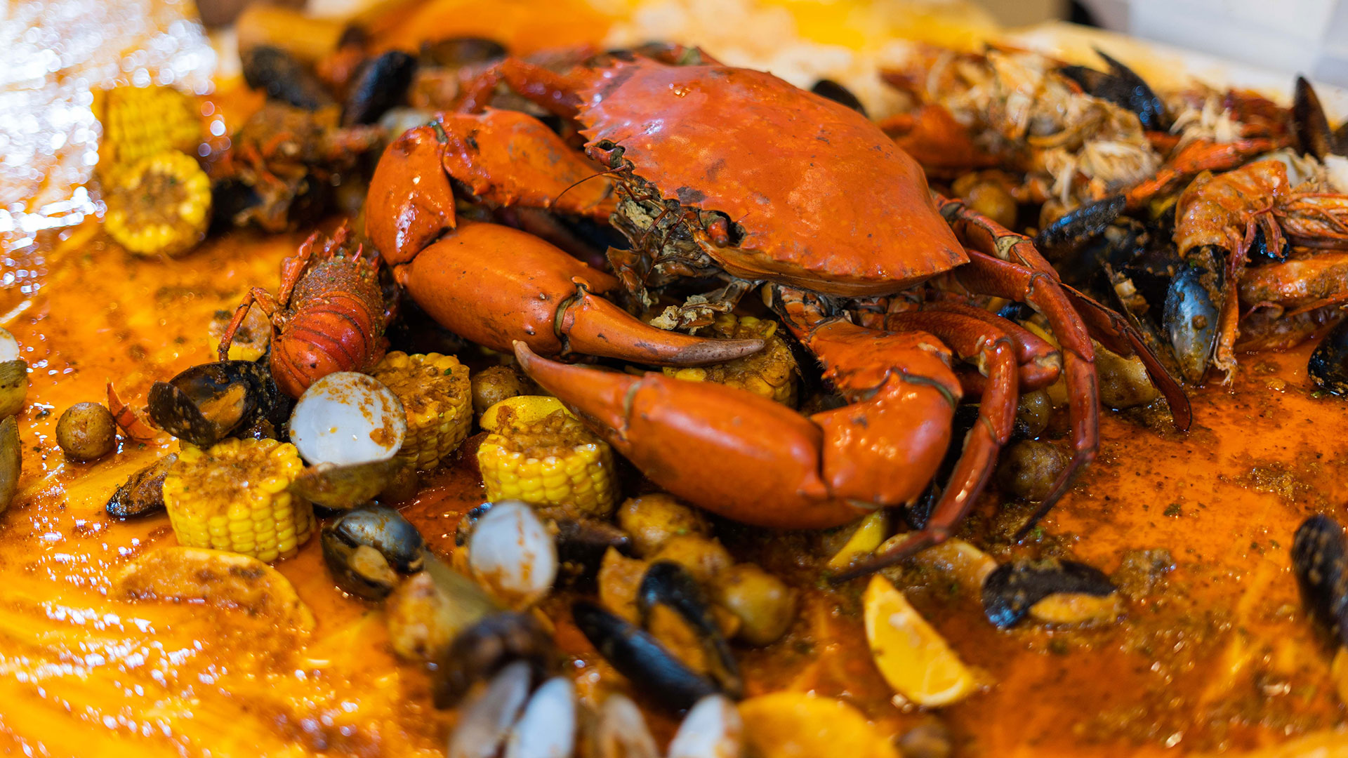 The Orange Bucket – Cajun-Fusion Restaurant